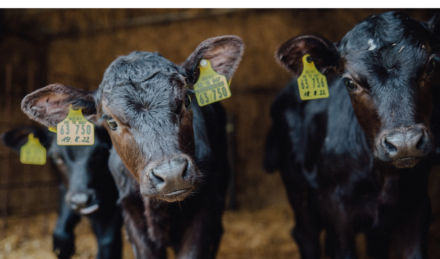 Kundenportrait: Zu Besuch auf Gut Hohen Luckow – AGRARMONITOR